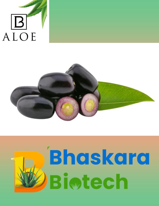 Kala Jamun / Syzygium cumini powder - Bhaskara Biotech